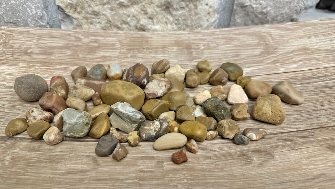 Handpicked Mustard Colored Stones From the Shores of Lake Michigan. - Etsy