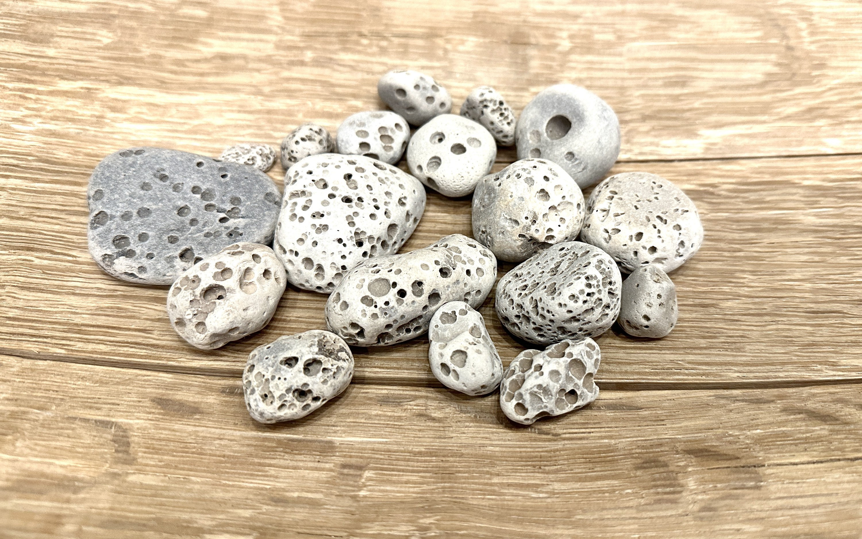 Handpicked “moon Rock” From the Shores of Lake Michigan. - Etsy