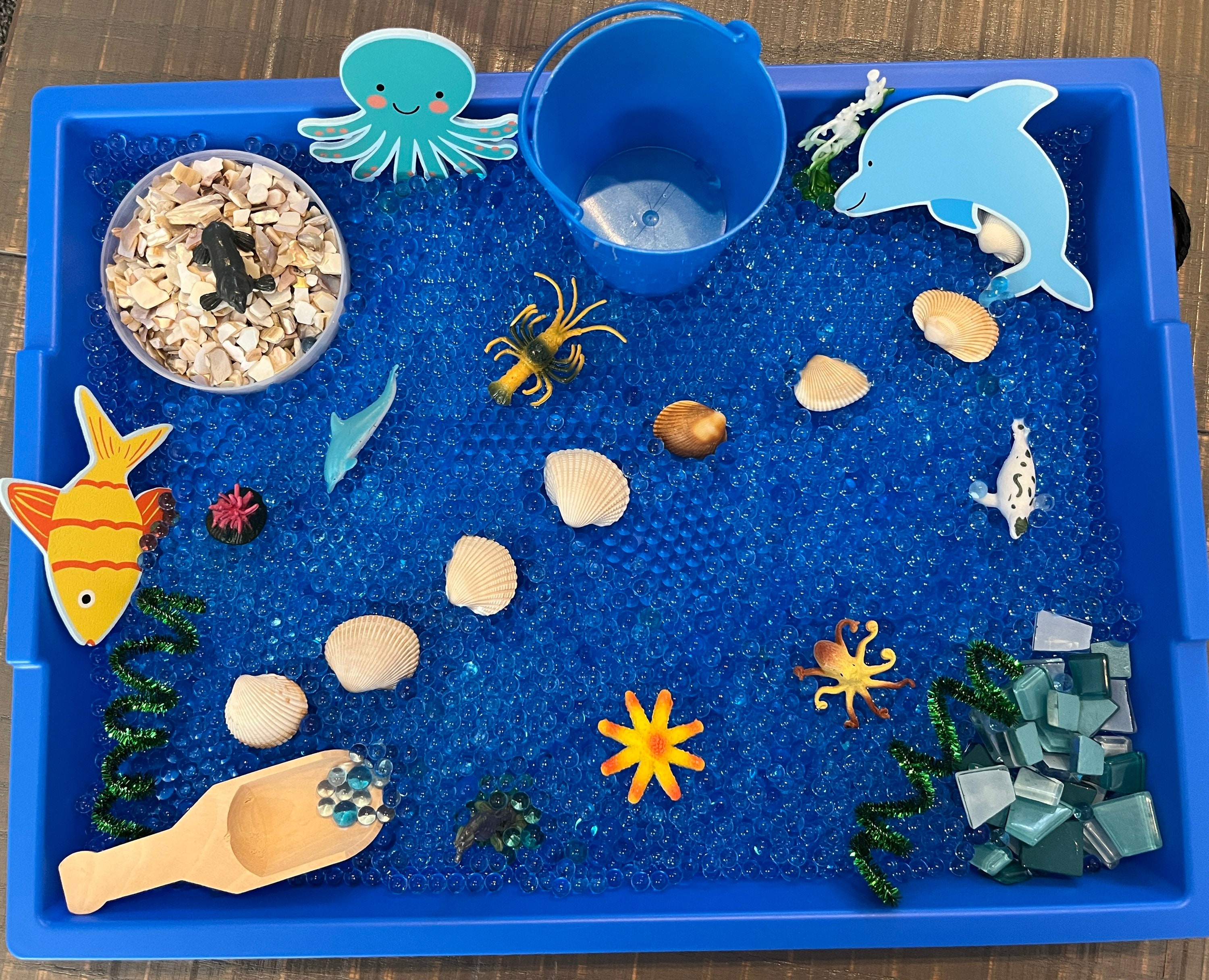 Under the Sea Sensory Kit for Kids Water Beads Includes - Etsy
