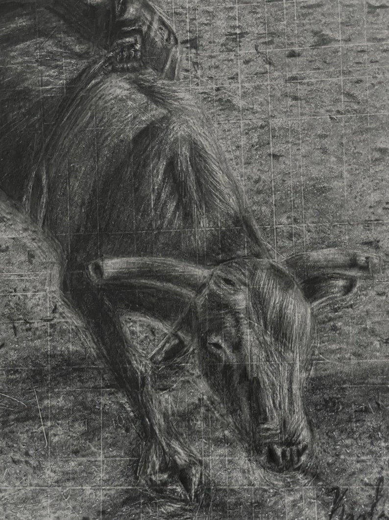 Bull Rider Drawing. Pencil Drawing. Bull Drawing - Etsy