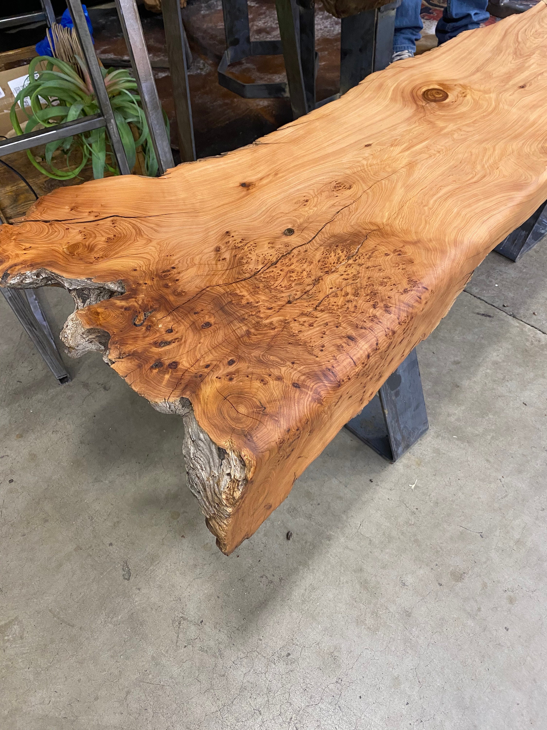 Handcrafted Alligator Juniper Entry Bench With Huge Burl - Etsy