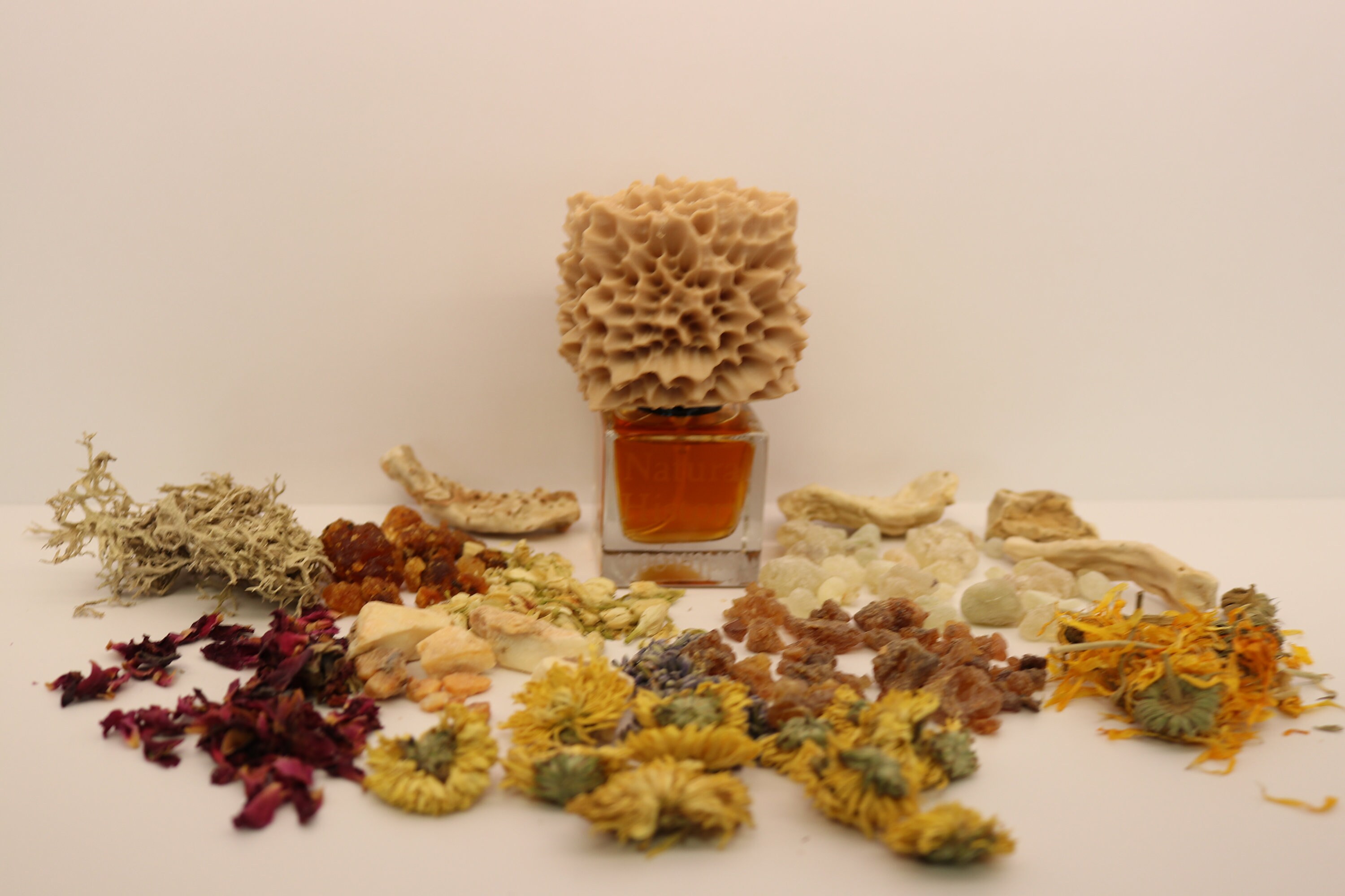 Phronema Perfumes Natural History Extrait De Parfum - Etsy