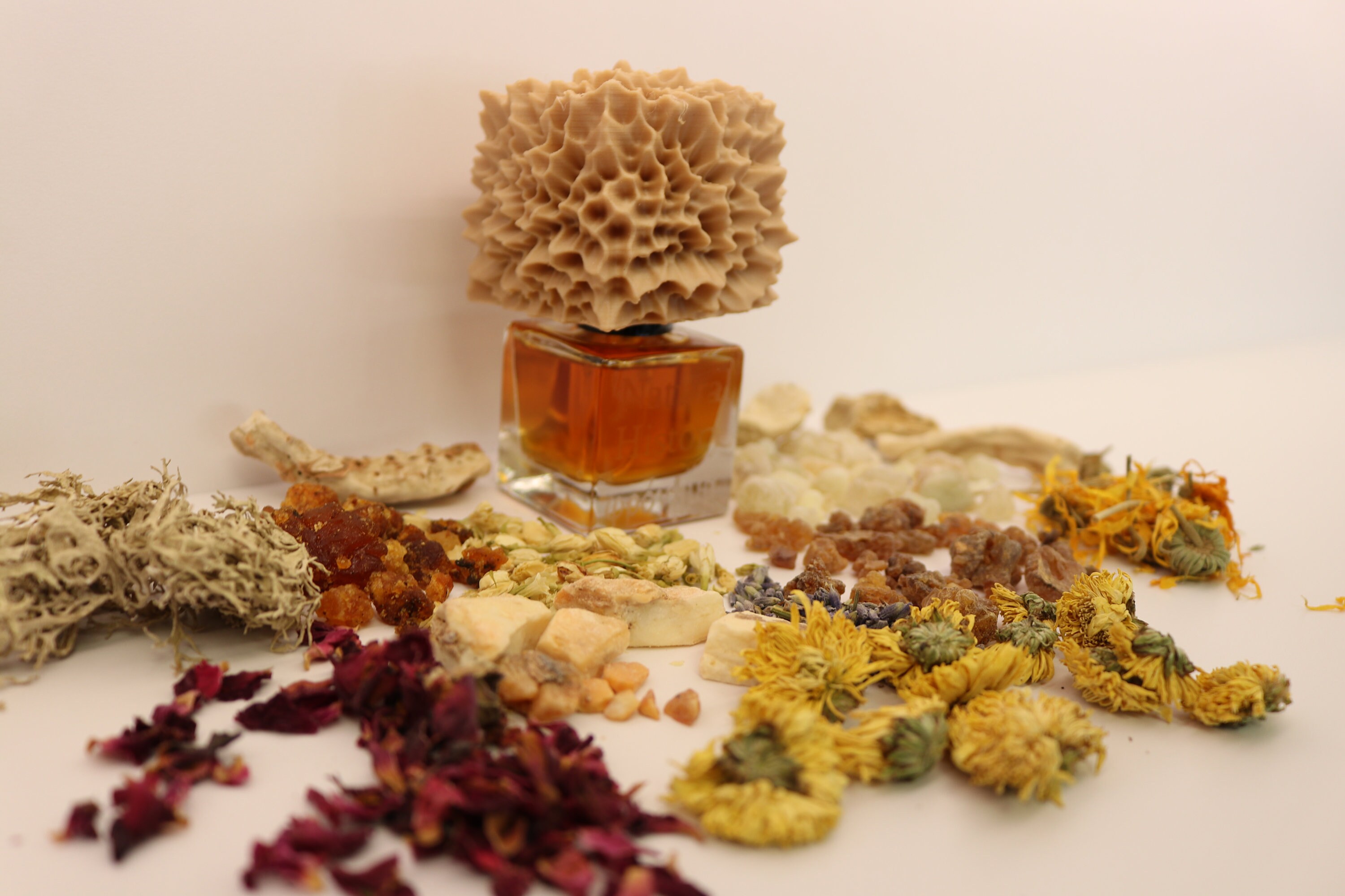 Phronema Perfumes Natural History Extrait De Parfum - Etsy