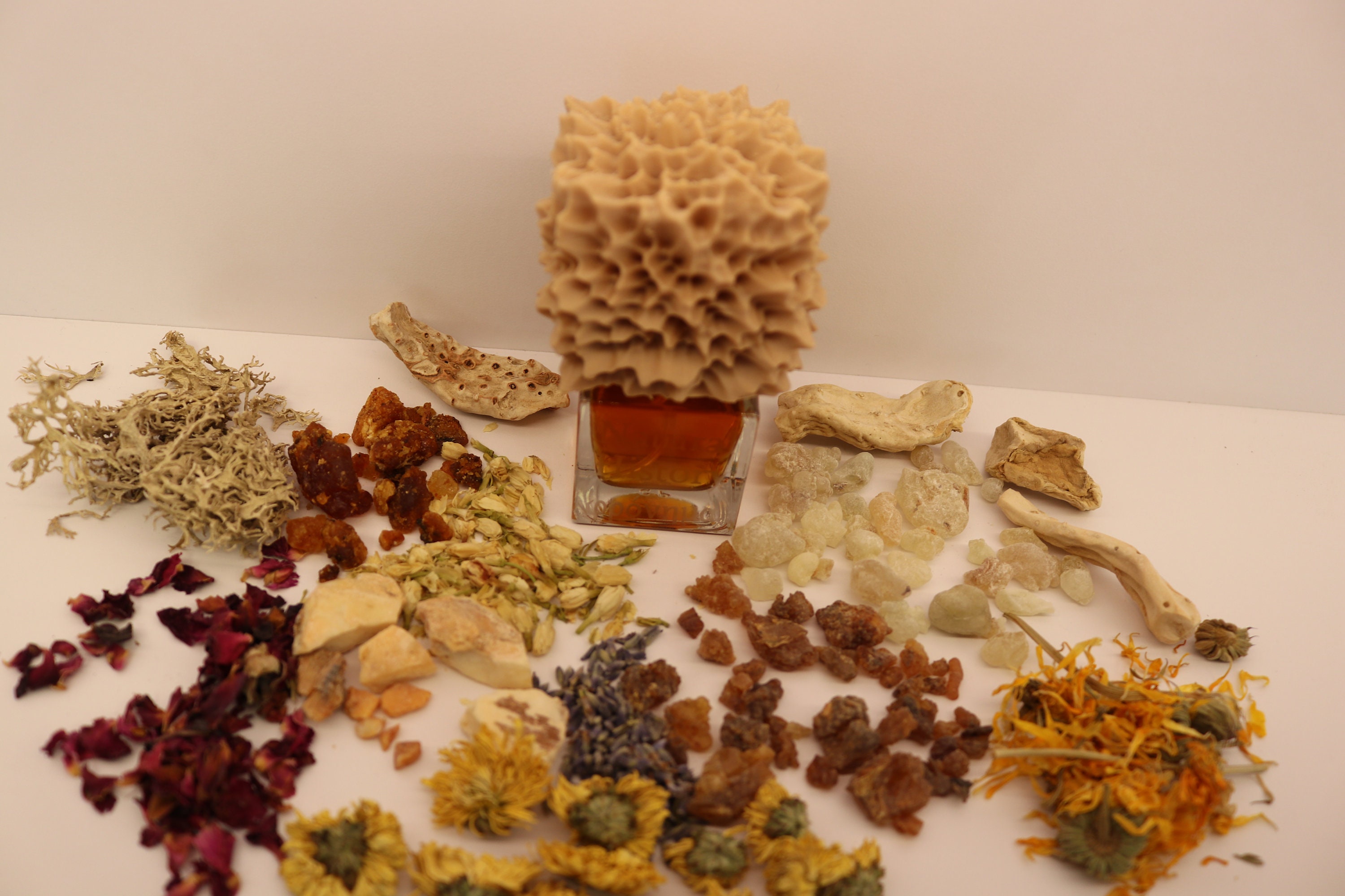 Phronema Perfumes Natural History Extrait De Parfum - Etsy