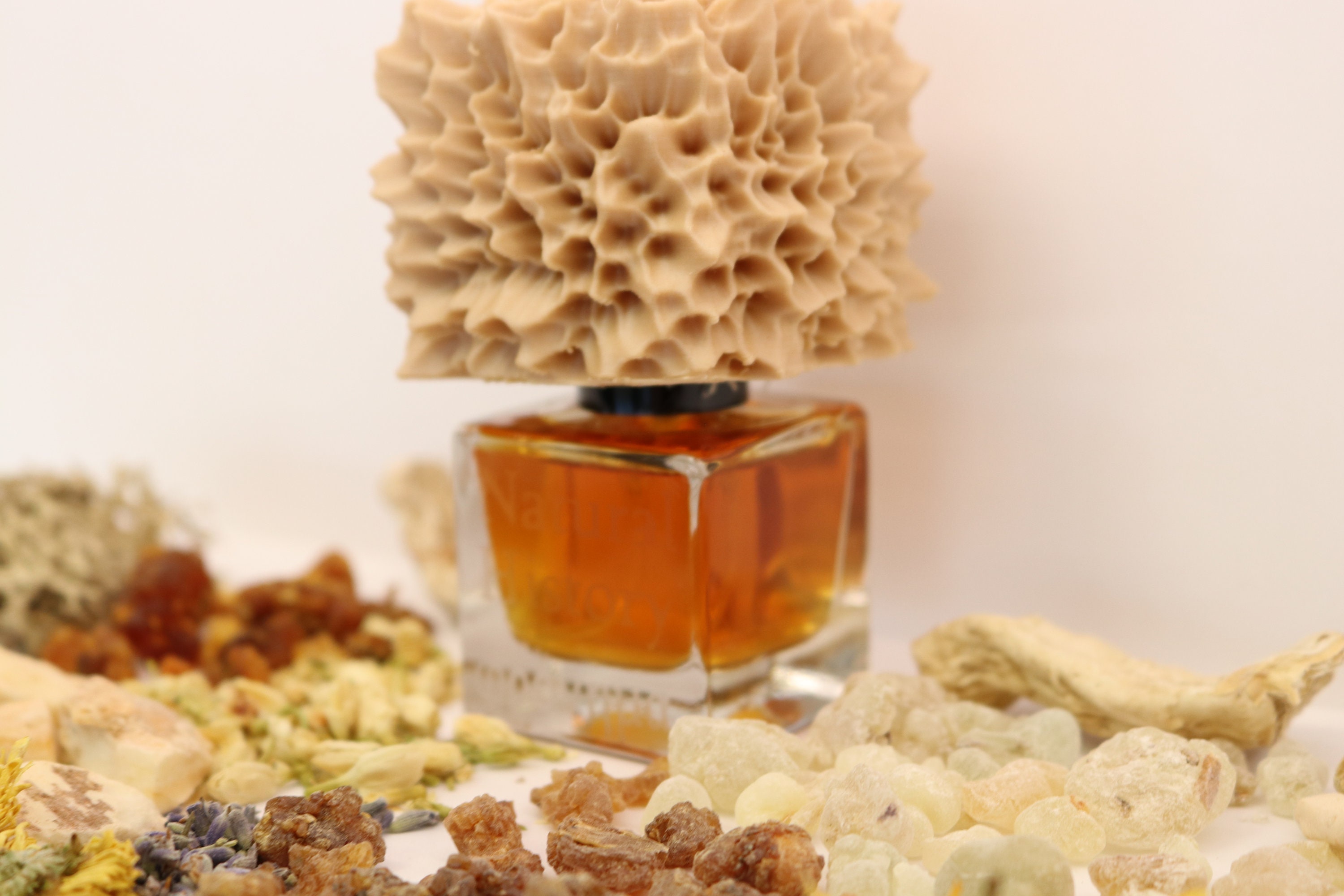 Phronema Perfumes Natural History Extrait De Parfum - Etsy