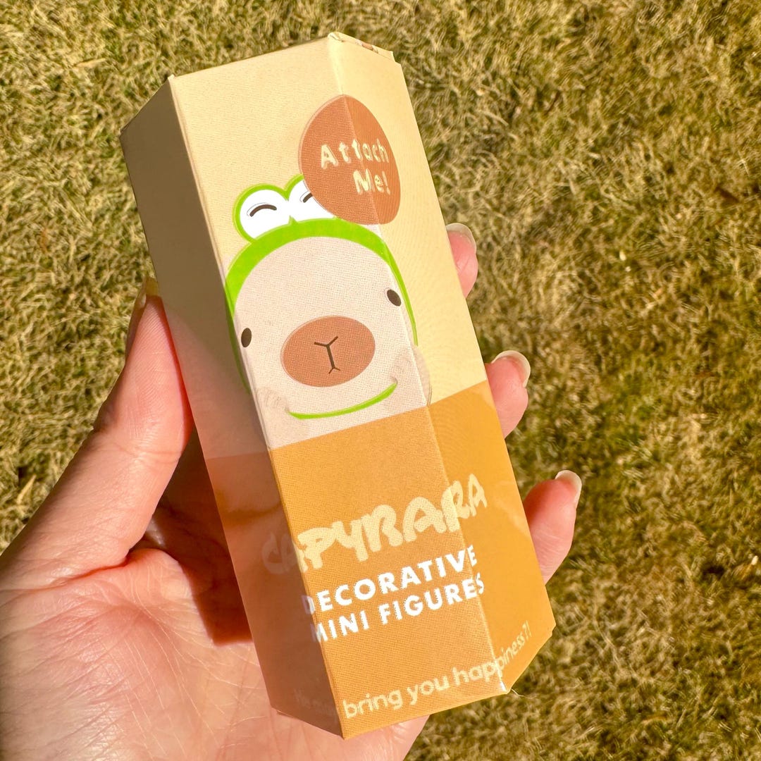 Buy Cute Capybara Hippers Blind Box Collectable Sealed Phone Attachment ...