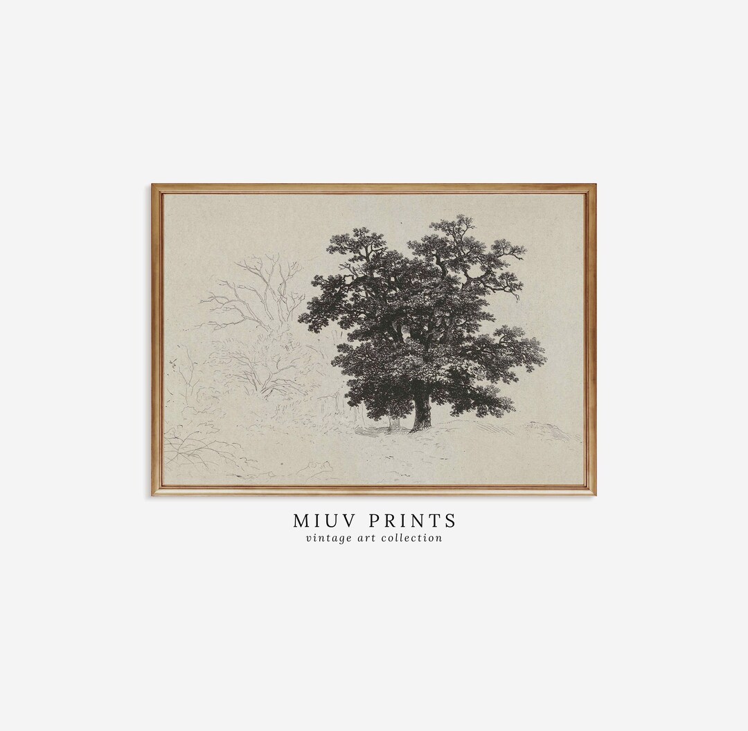 Vintage Tree Drawing Art Print Antique Botanical Sketch Art - Etsy