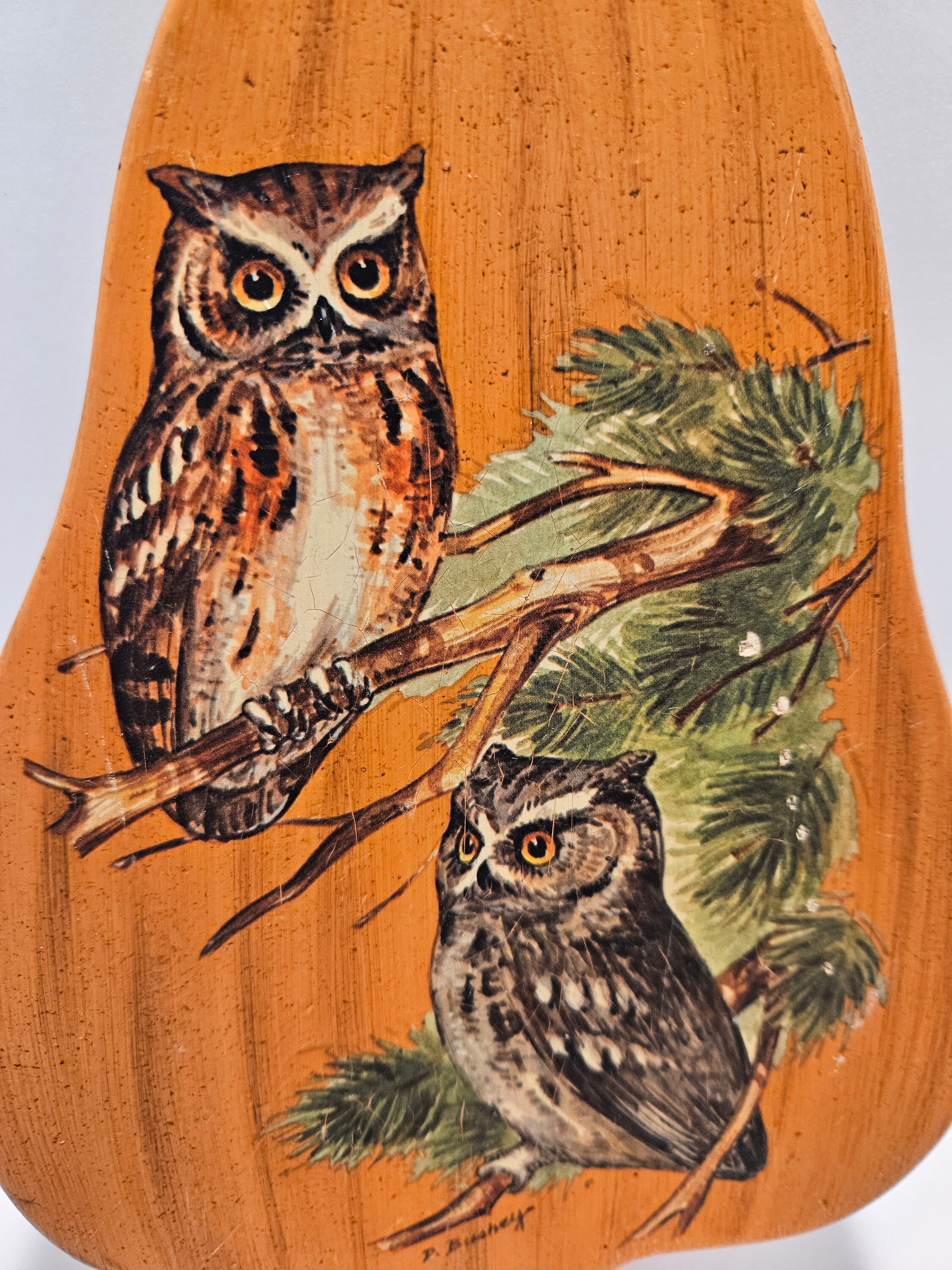 Vintage Decoupage Two Owls in a Forest Wall Art - Etsy