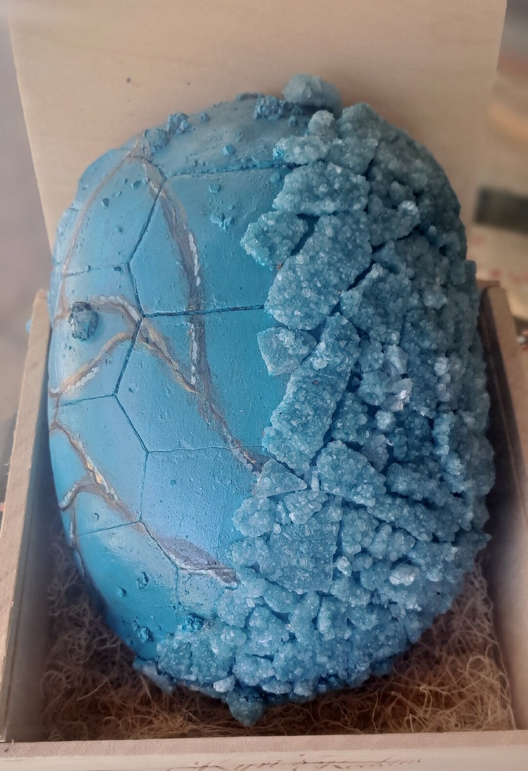 Crystalized Turtle Shell - Etsy