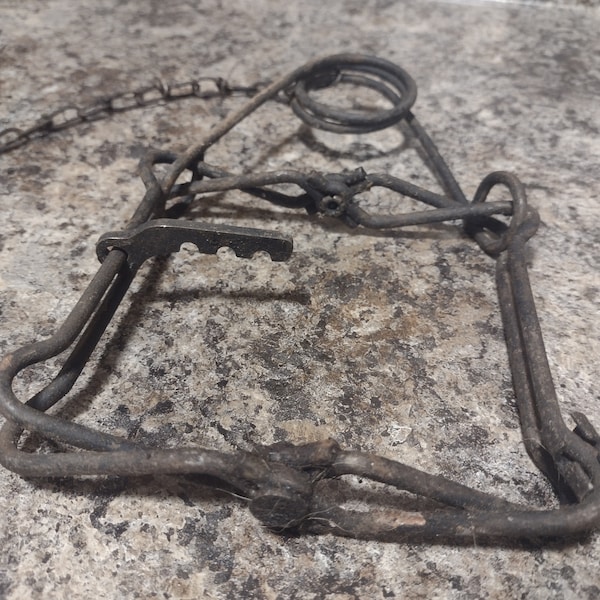 Antique Bear Trap - Etsy