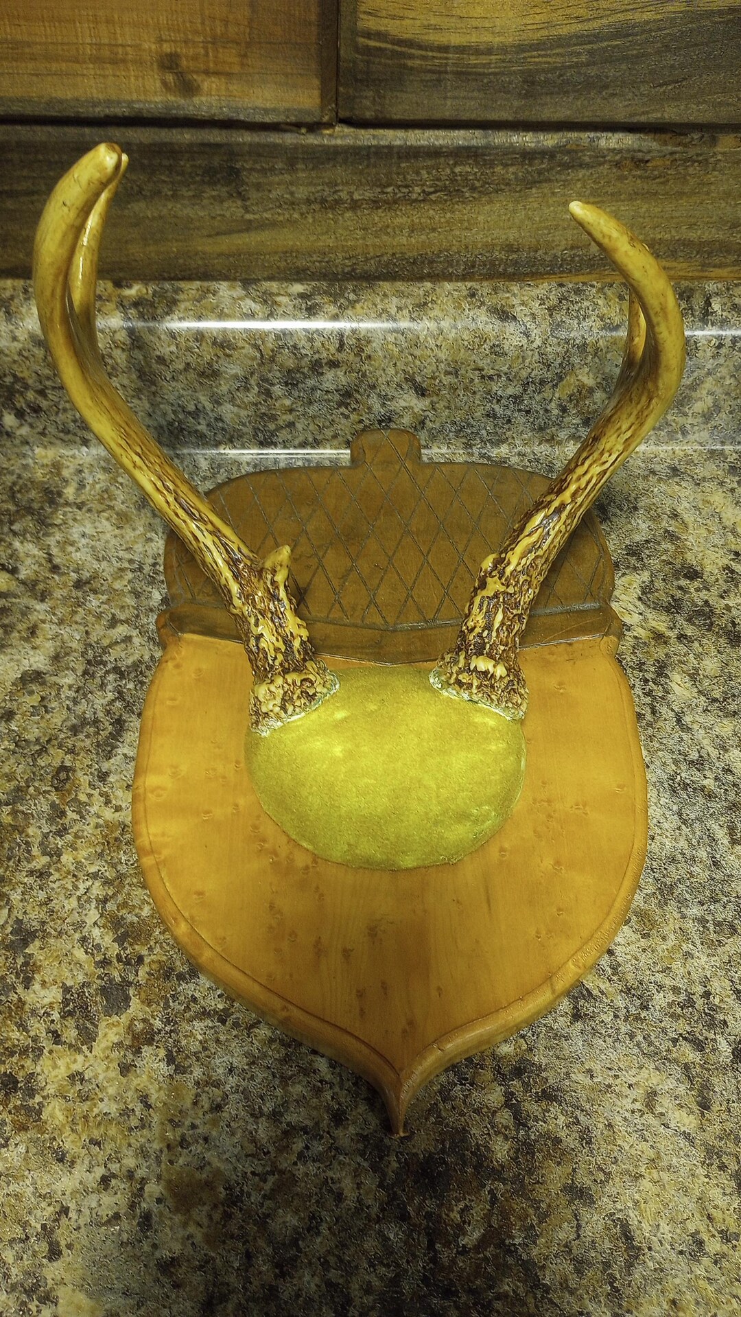 Deer Mount on Acorn Plaque - Etsy