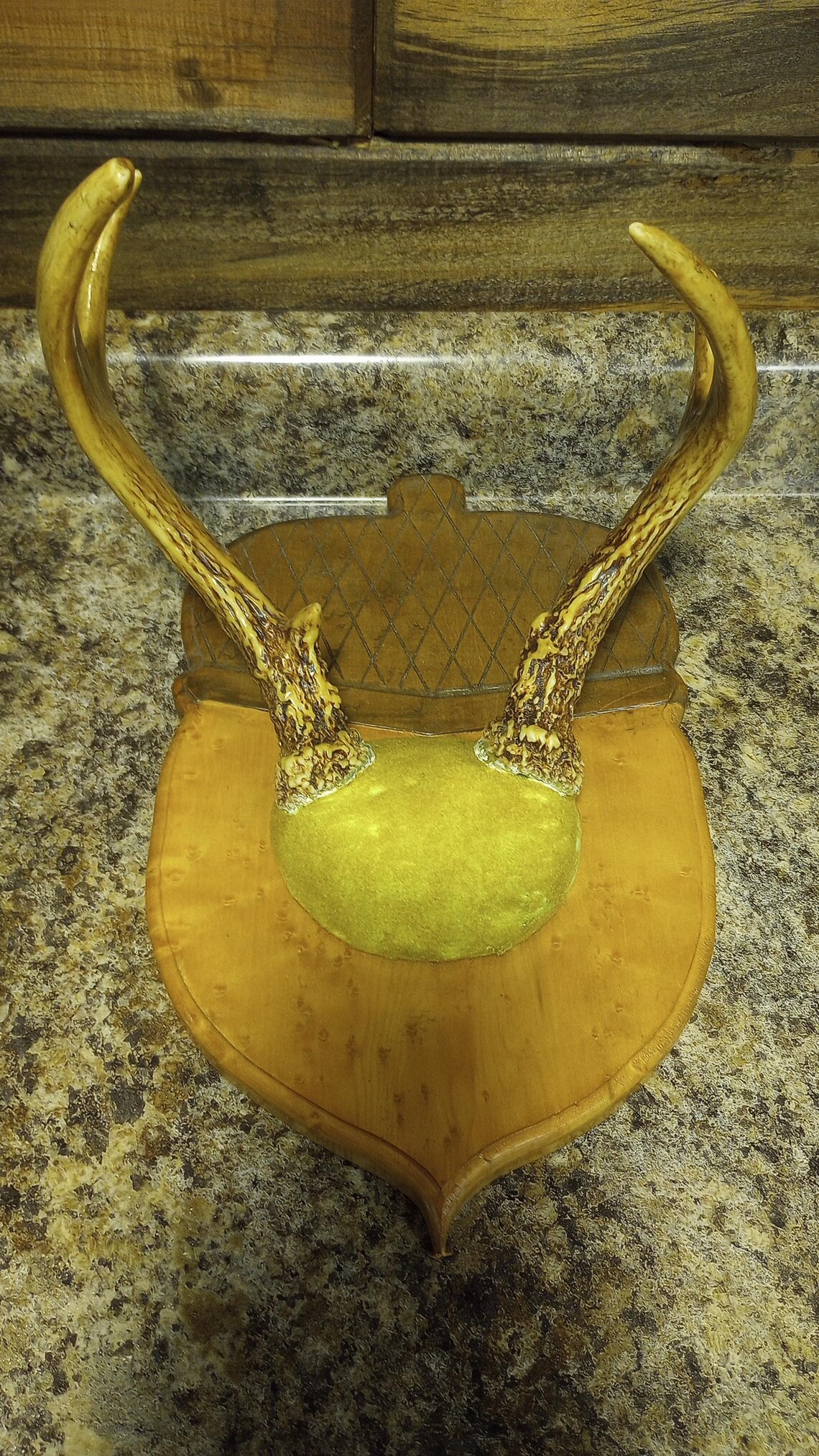 Deer Mount on Acorn Plaque - Etsy