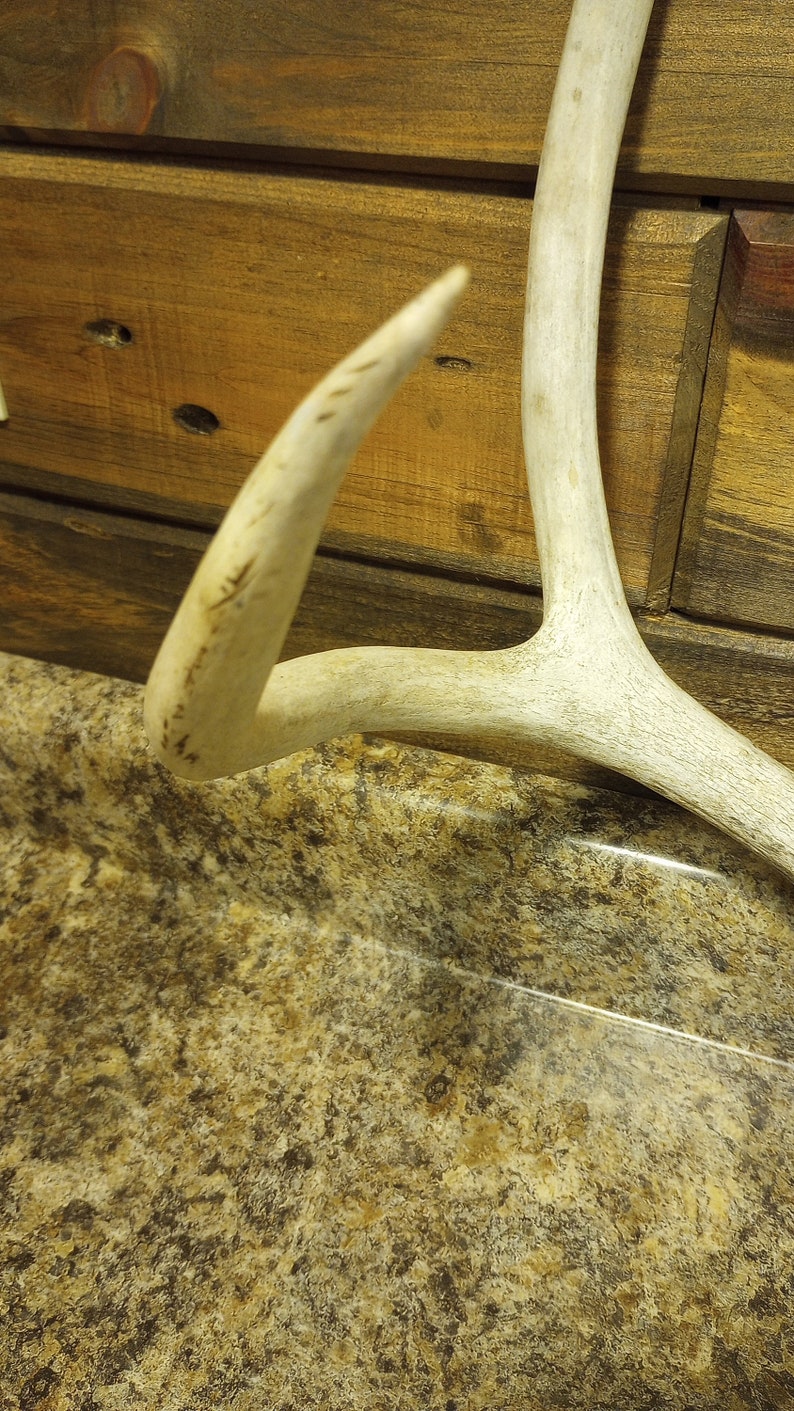 Deer Shed Rack - Etsy