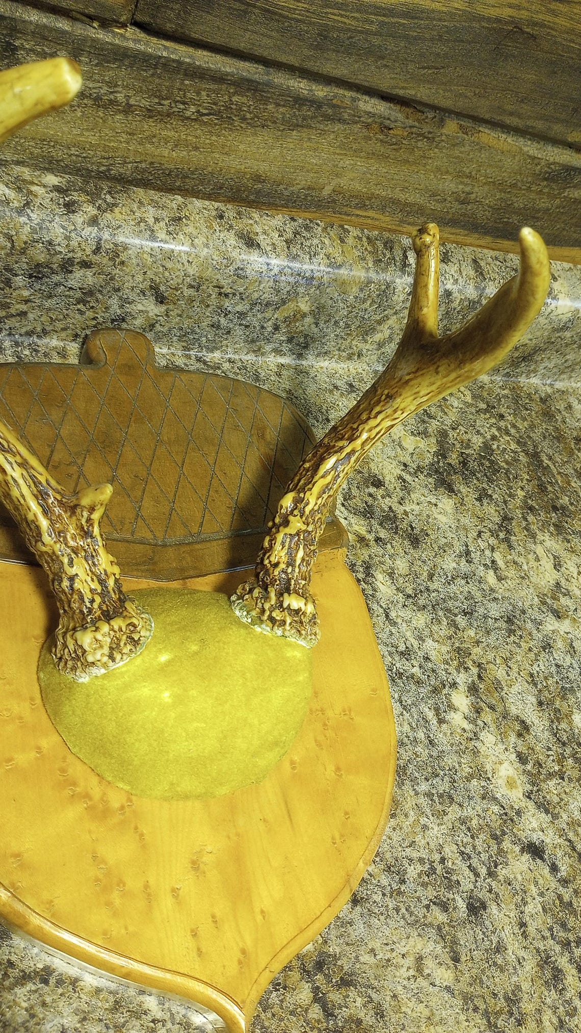 Deer Mount on Acorn Plaque - Etsy