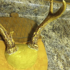 Deer Mount on Acorn Plaque - Etsy