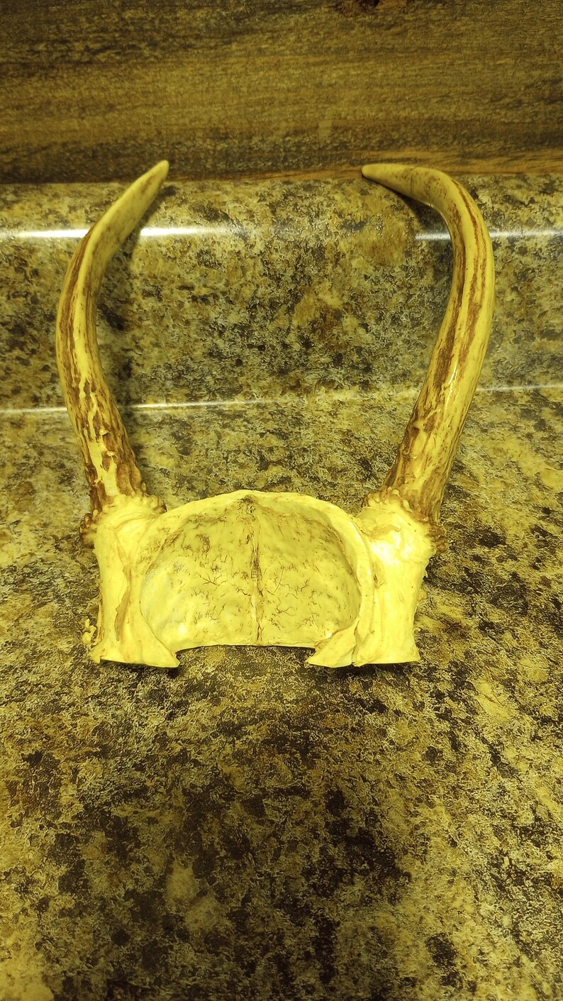 Deer Shed Rack - Etsy