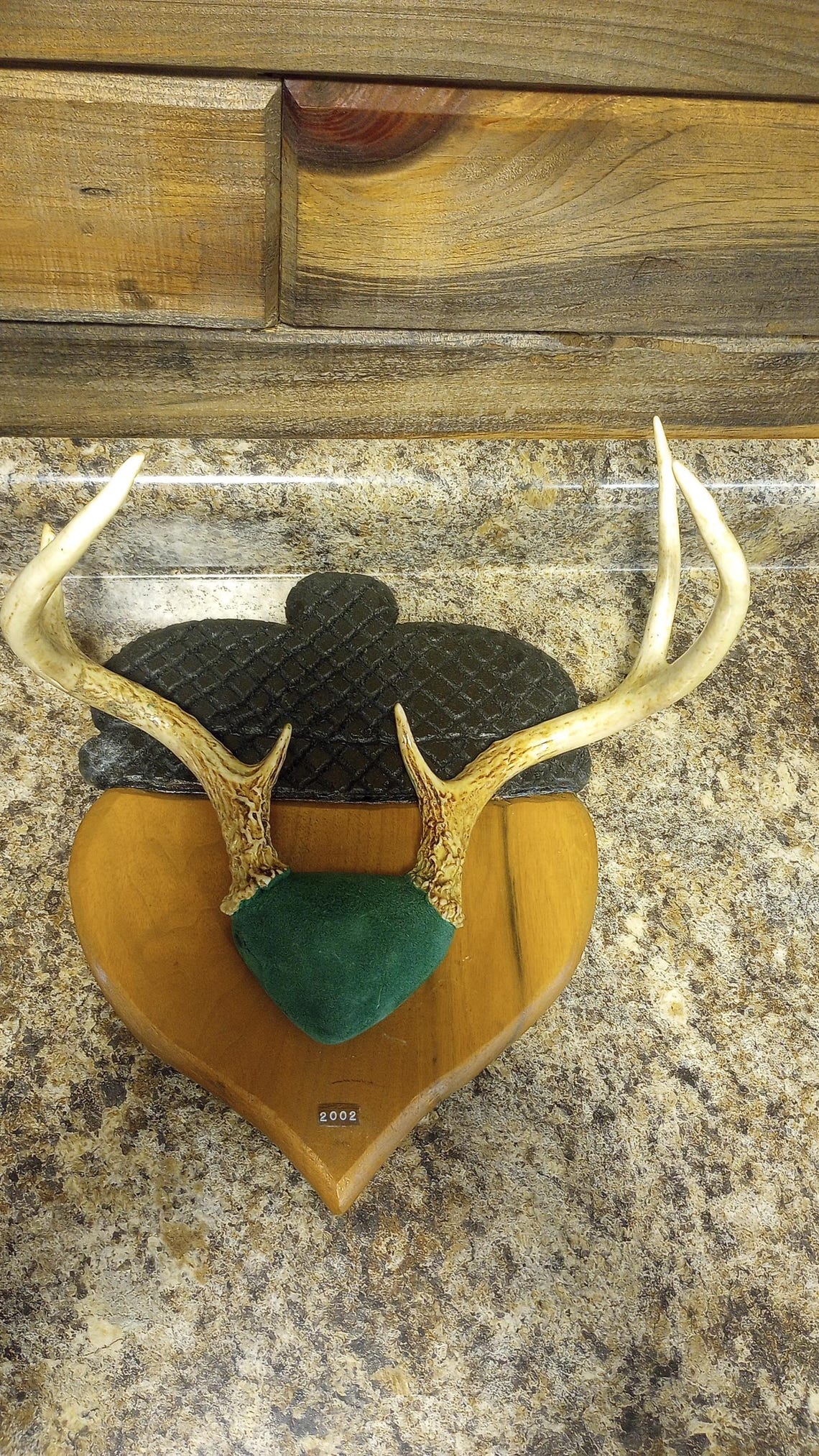 Deer Mount on Acorn Plaque - Etsy