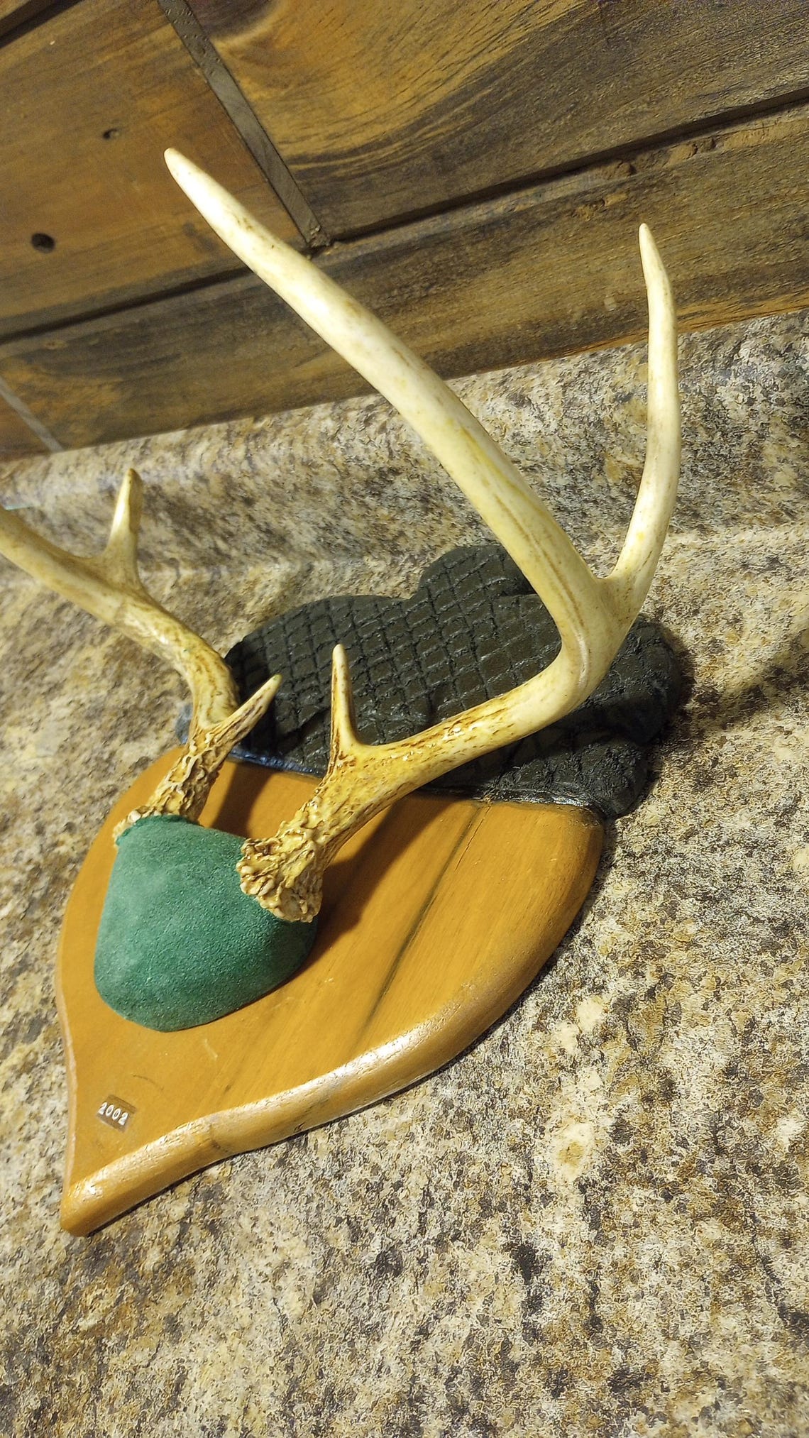 Deer Mount on Acorn Plaque - Etsy