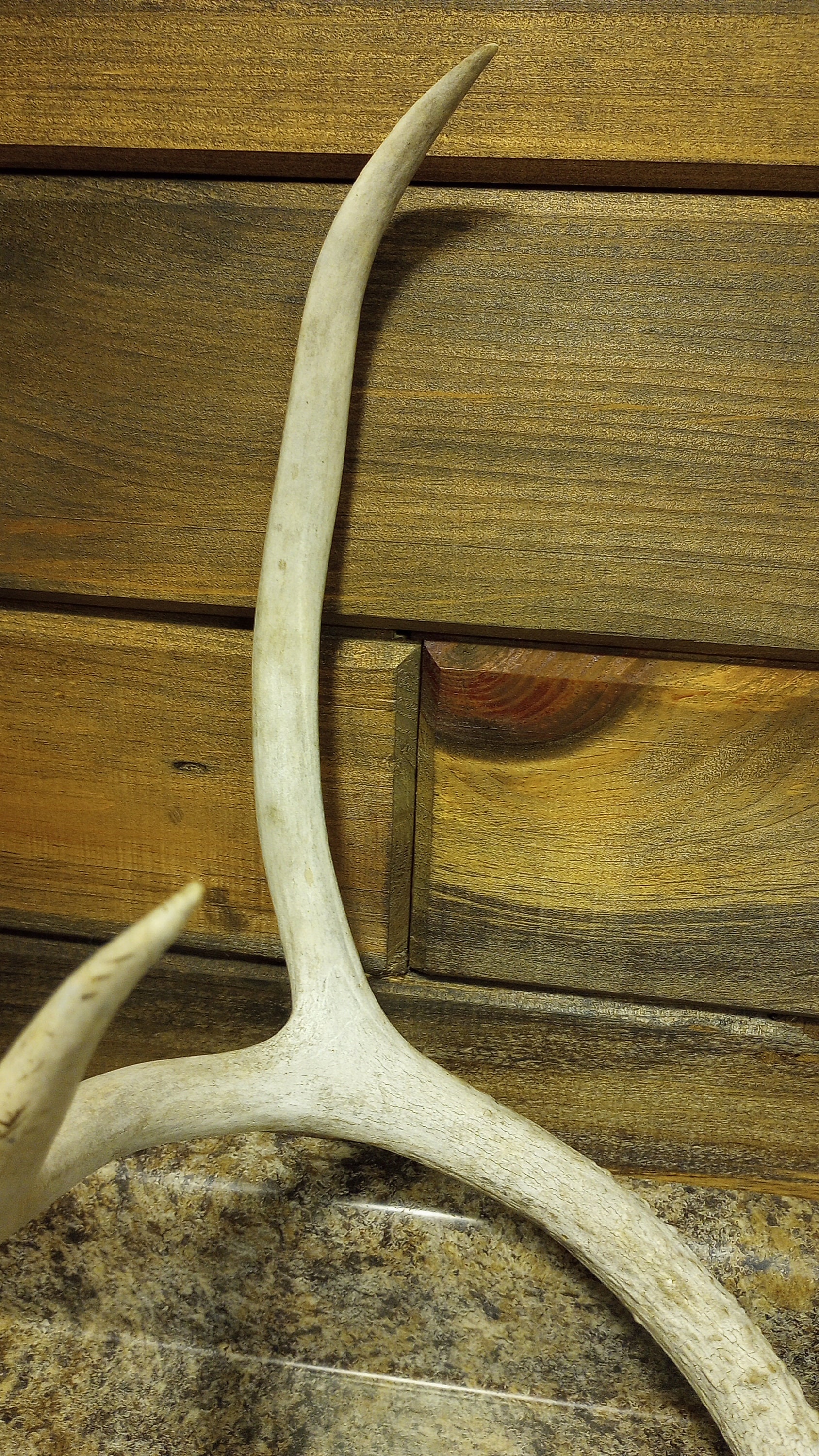 Deer Shed Rack - Etsy