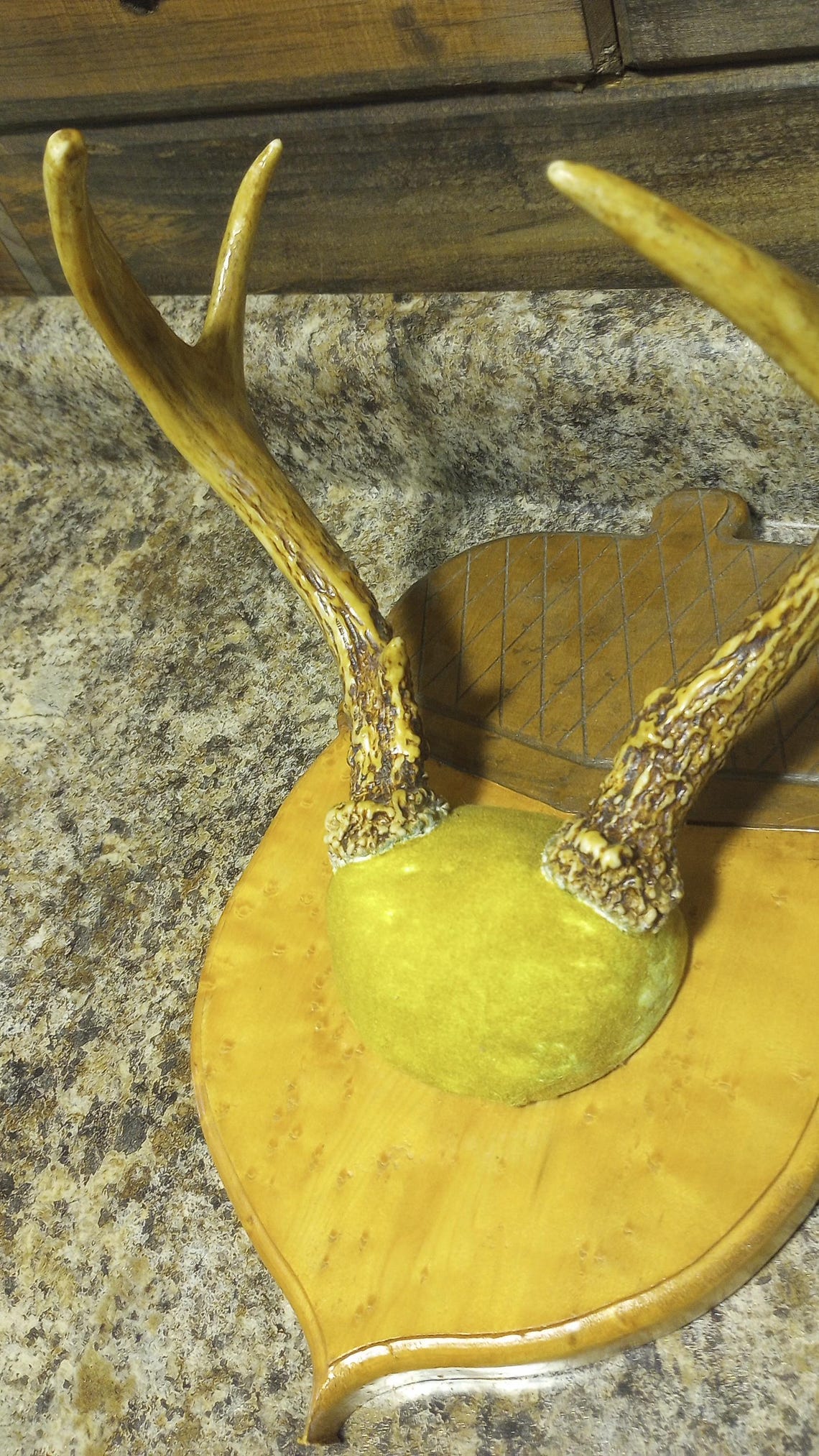 Deer Mount on Acorn Plaque - Etsy