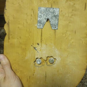 Deer Mount on Acorn Plaque - Etsy