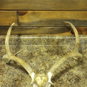 Deer Shed Rack - Etsy