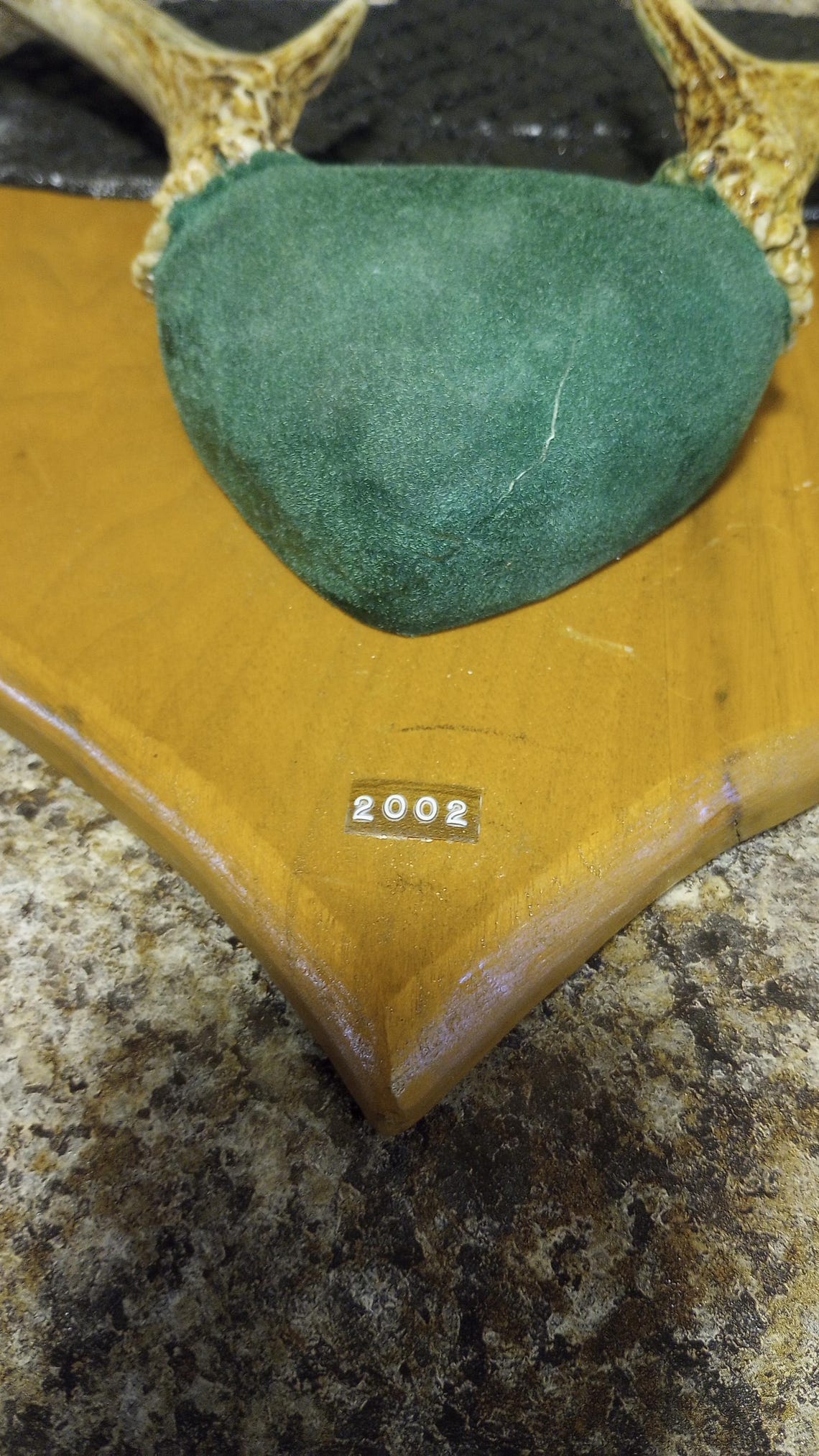 Deer Mount on Acorn Plaque - Etsy