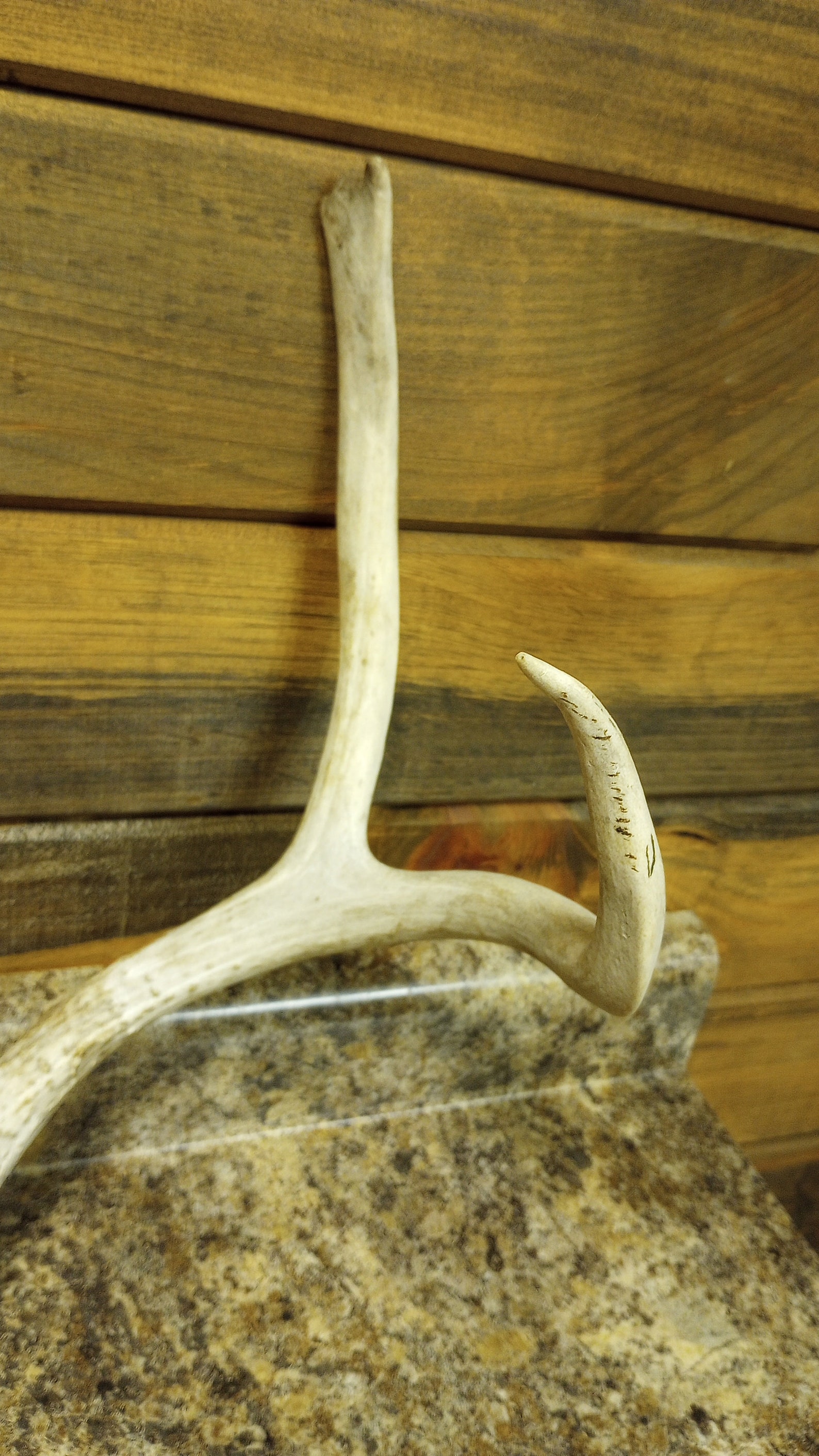 Deer Shed Rack - Etsy