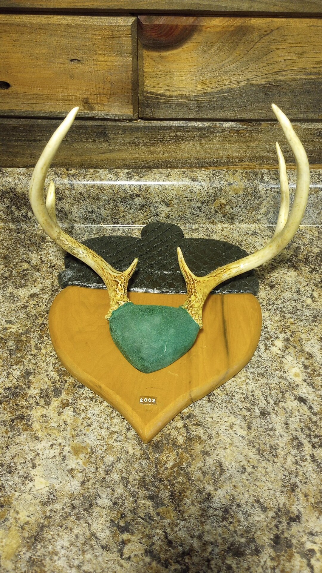 Deer Mount on Acorn Plaque - Etsy