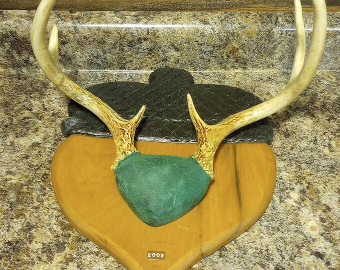 Deer Mount on Acorn Plaque - Etsy