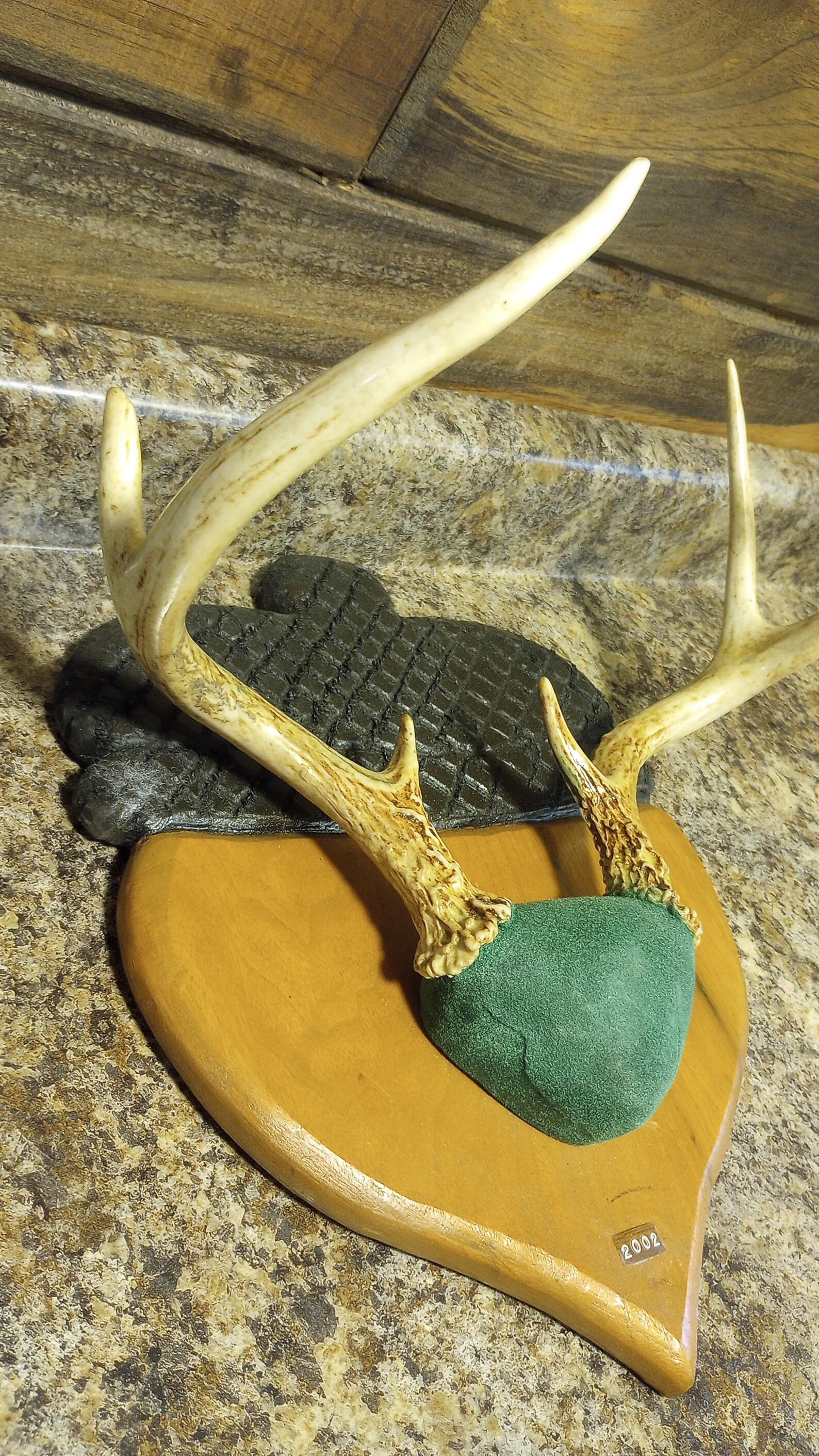 Deer Mount on Acorn Plaque - Etsy