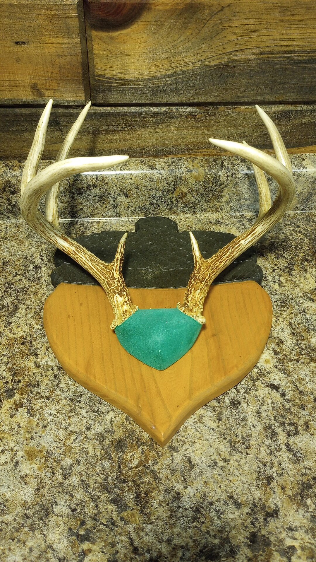 Deer Mount on Acorn Plaque - Etsy