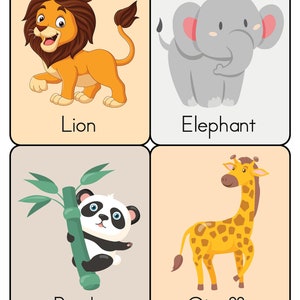 100 Animals Birds Ocean Animals and Insects Flashcards, Montessori ...