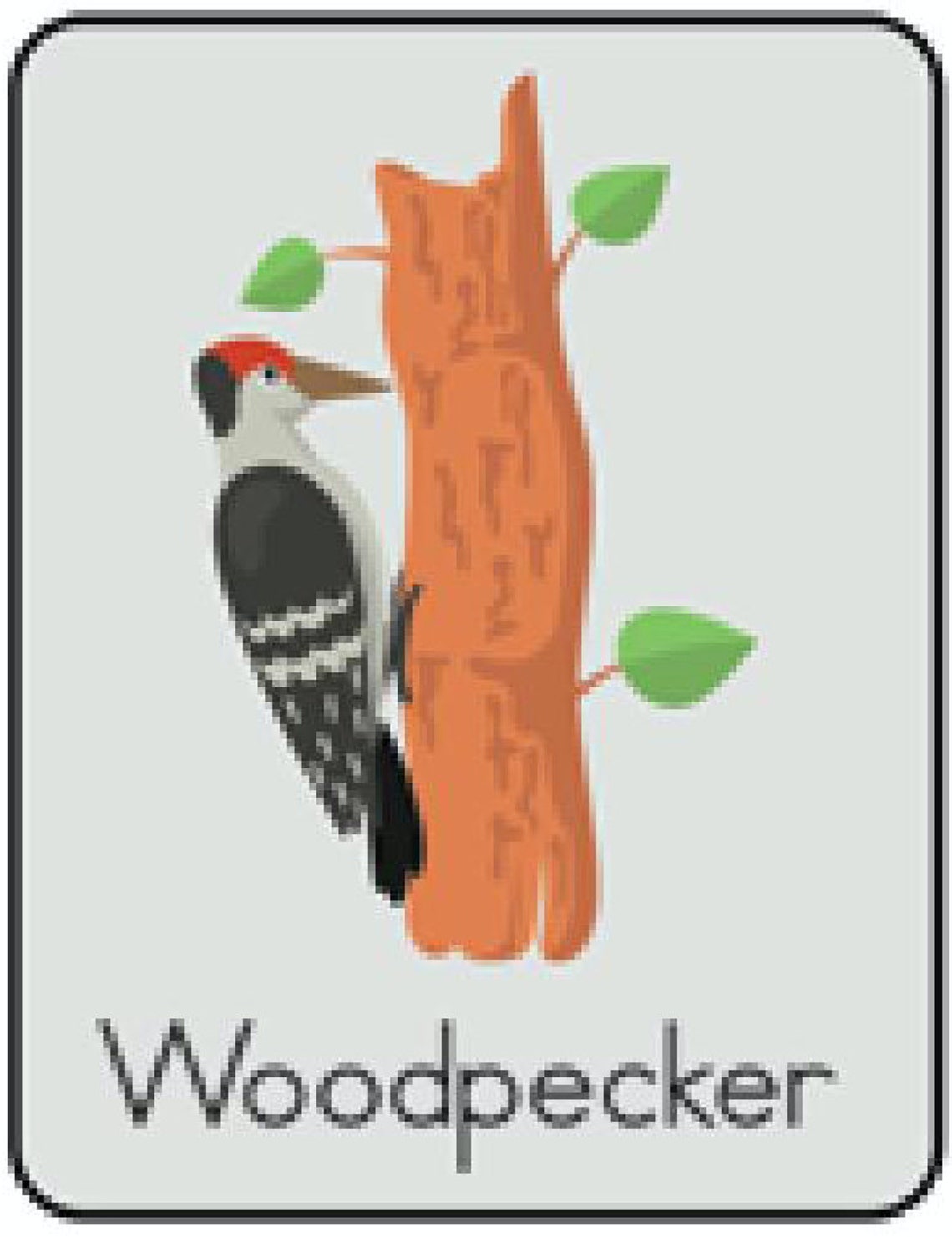 100 Animals Birds Ocean Animals and Insects Flashcards, Montessori ...