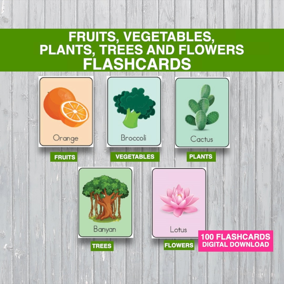 100 Fruits Vegetables Plants Trees and Flowers Flashcards, Montessori ...
