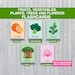 100 Fruits Vegetables Plants Trees and Flowers Flashcards, Montessori ...
