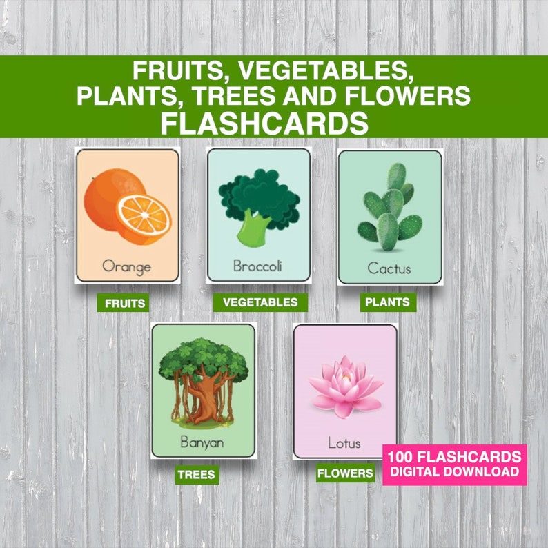 100 Fruits Vegetables Plants Trees and Flowers Flashcards, Montessori ...