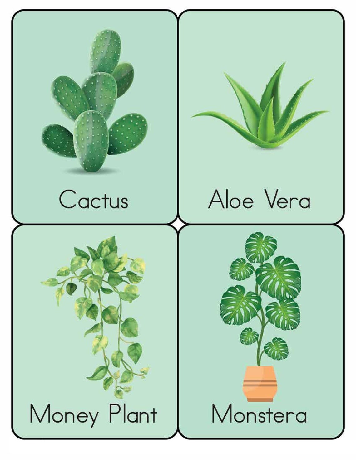 100 Fruits Vegetables Plants Trees and Flowers Flashcards, Montessori ...