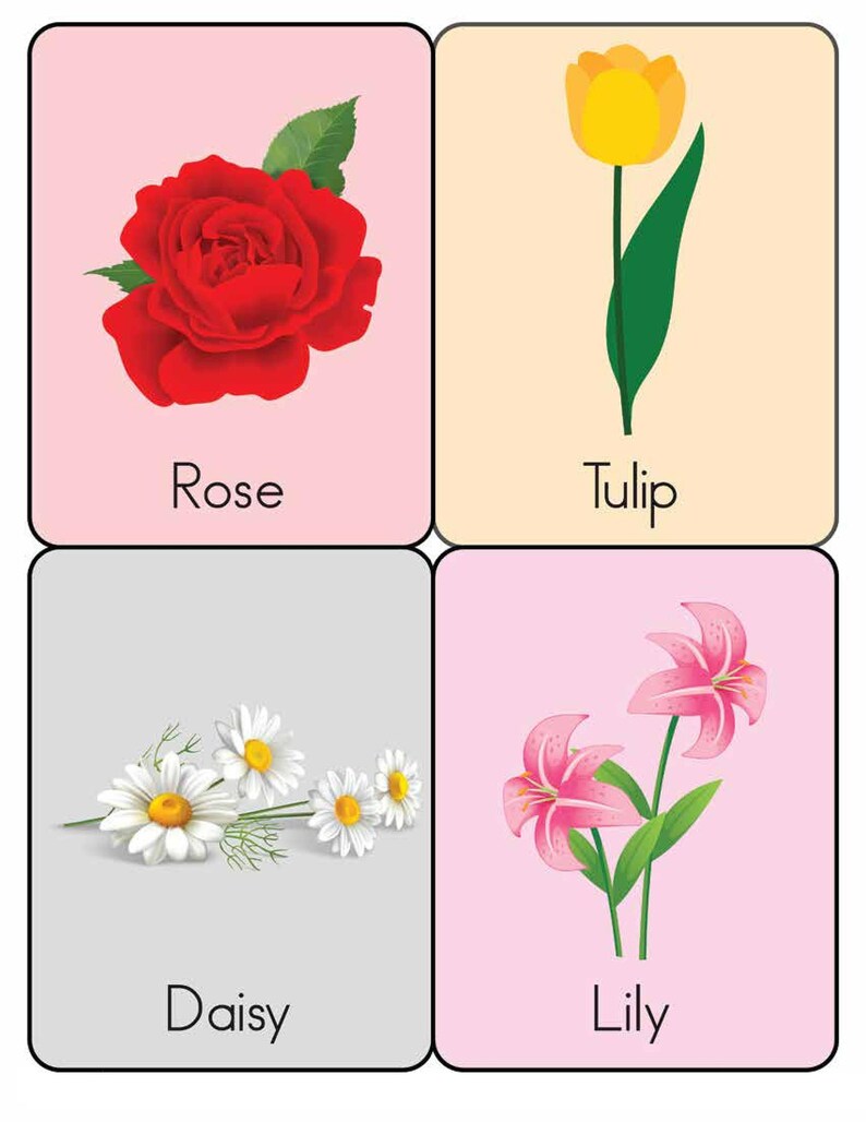 100 Fruits Vegetables Plants Trees and Flowers Flashcards, Montessori ...