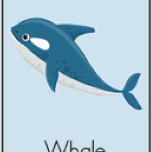 100 Animals Birds Ocean Animals and Insects Flashcards, Montessori ...