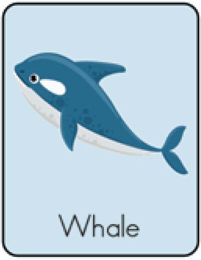 100 Animals Birds Ocean Animals and Insects Flashcards, Montessori ...