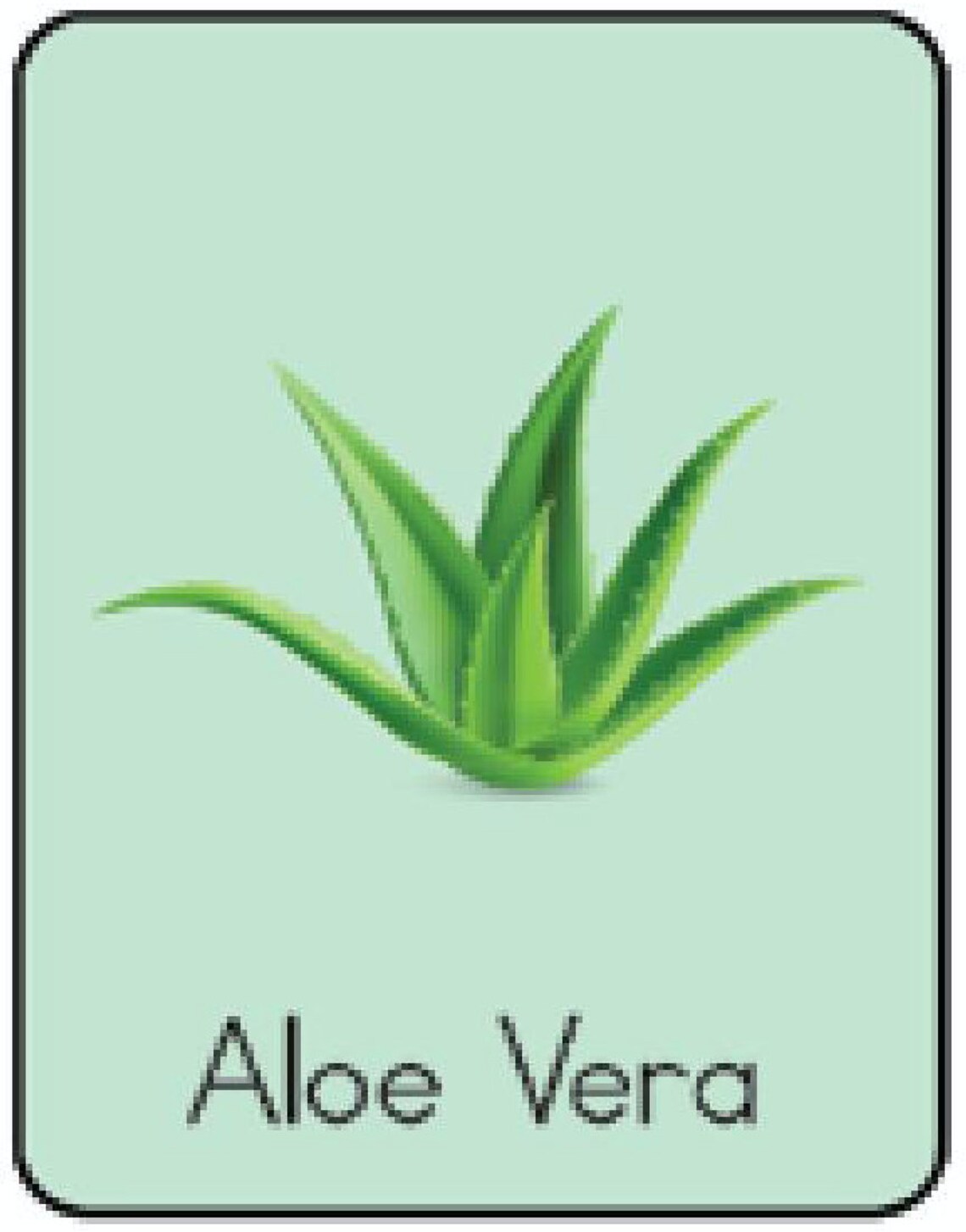 100 Fruits Vegetables Plants Trees and Flowers Flashcards, Montessori ...