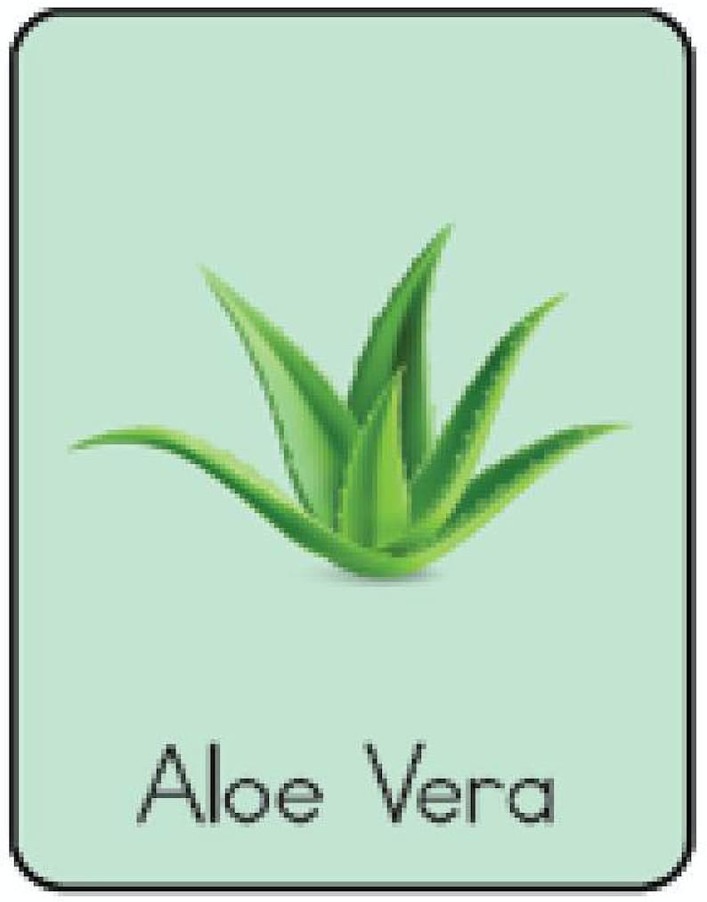 100 Fruits Vegetables Plants Trees and Flowers Flashcards, Montessori ...