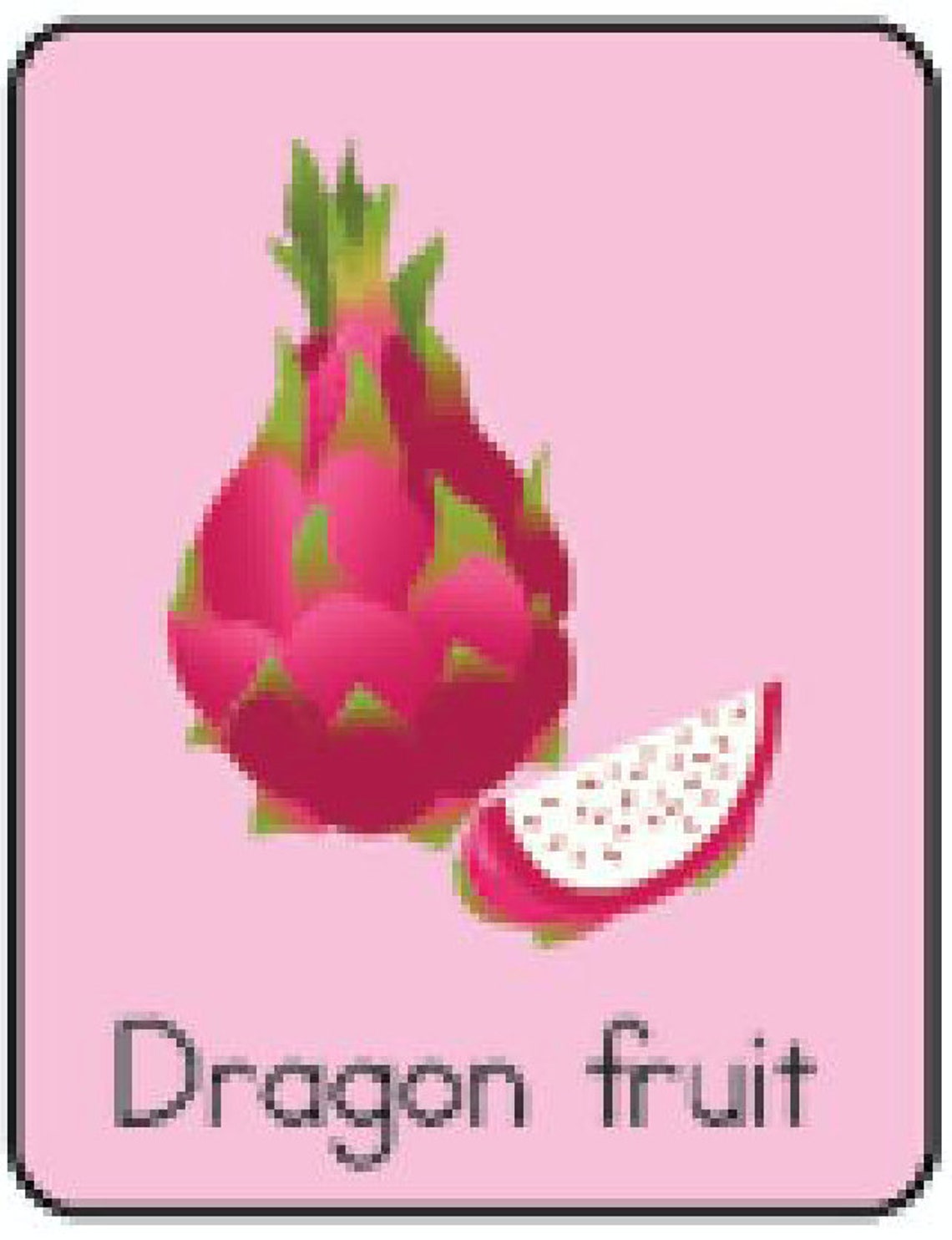 100 Fruits Vegetables Plants Trees and Flowers Flashcards, Montessori ...