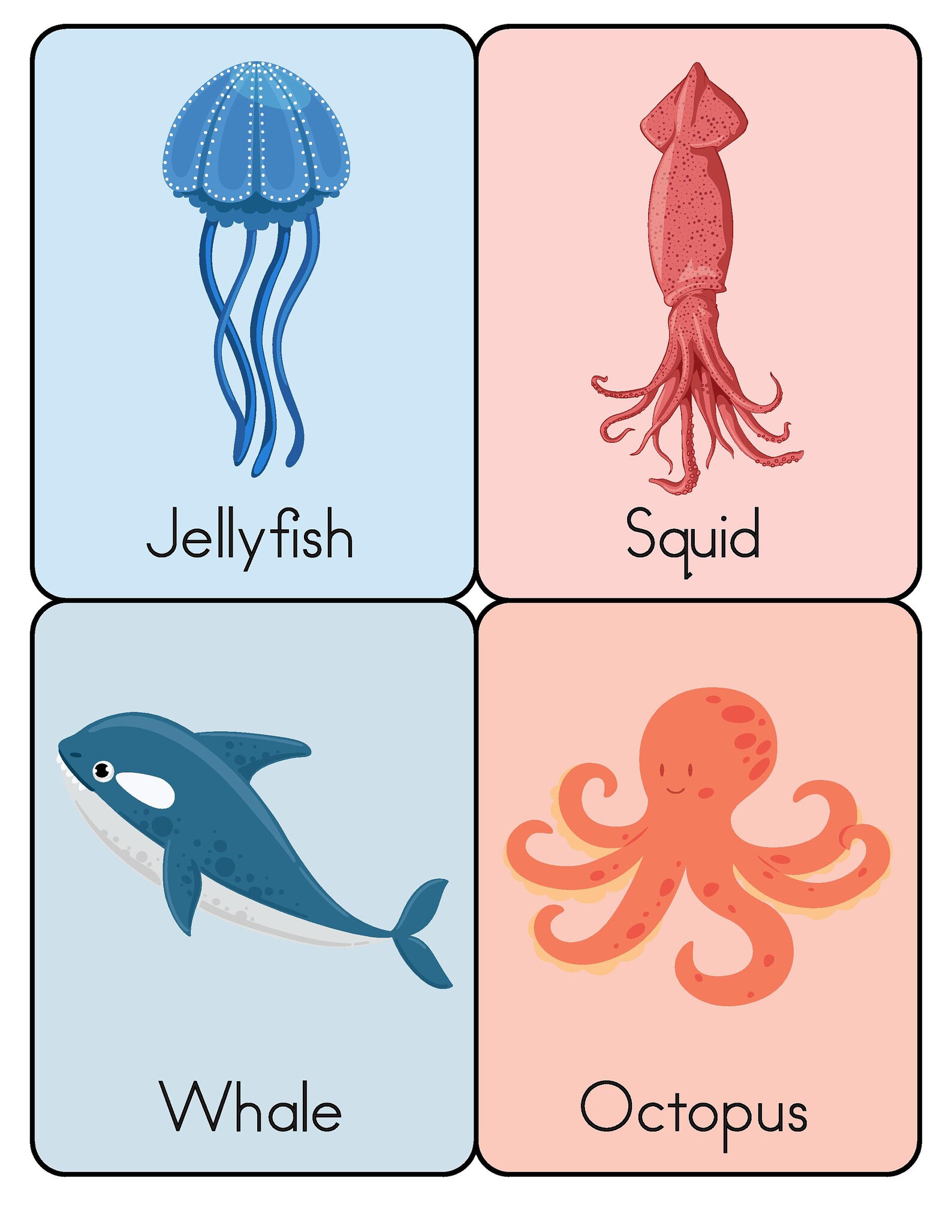 100 Animals Birds Ocean Animals and Insects Flashcards, Montessori ...