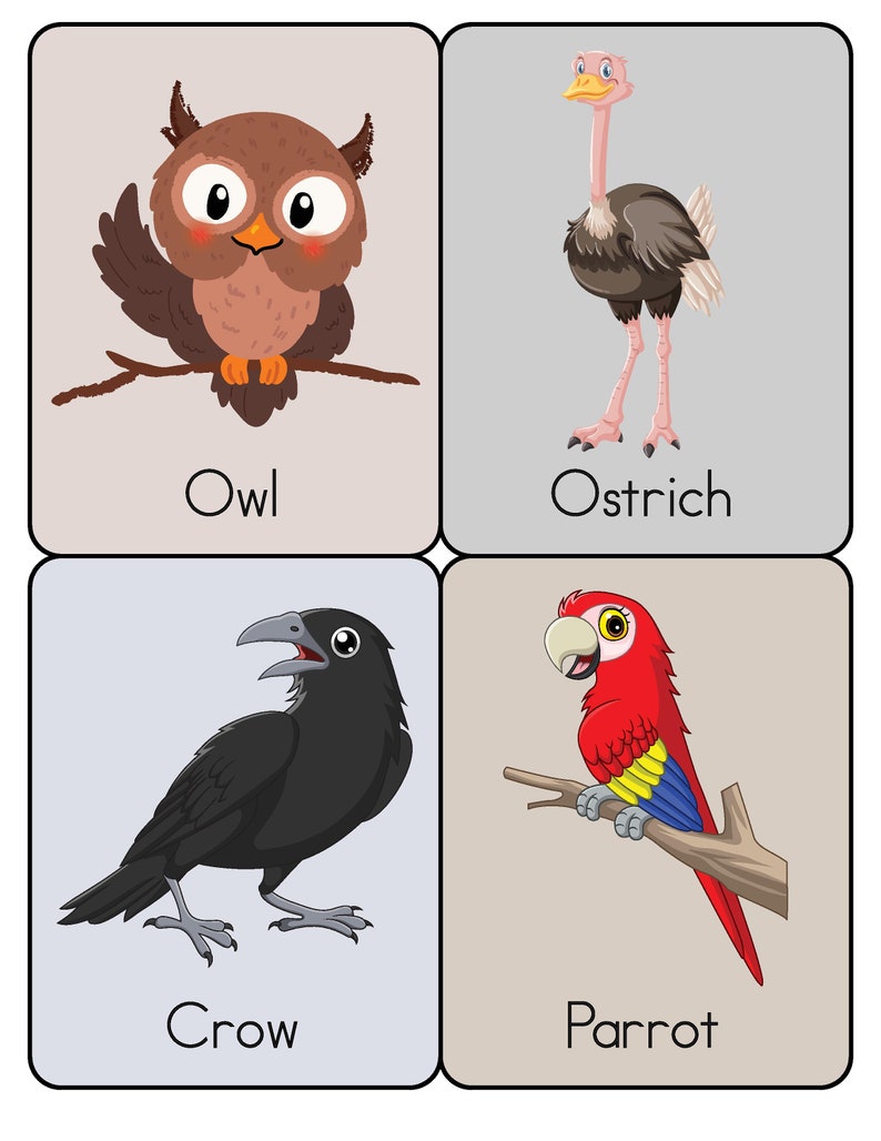 100 Animals Birds Ocean Animals and Insects Flashcards, Montessori ...