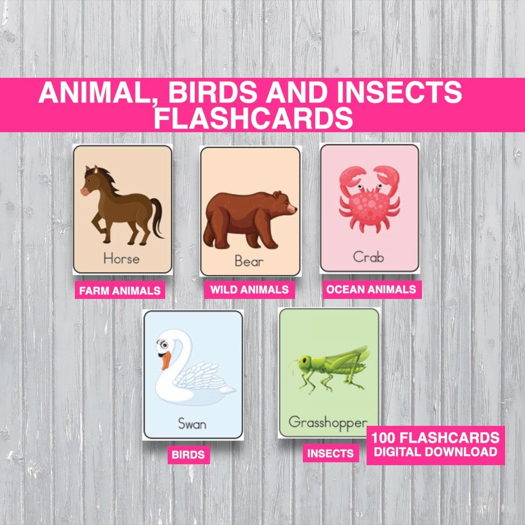 100 Animals Birds Ocean Animals and Insects Flashcards, Montessori ...
