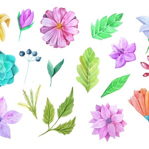 Watercolor Flowers Clipart PNG Bundle: DIY Floral Graphics (digital ...