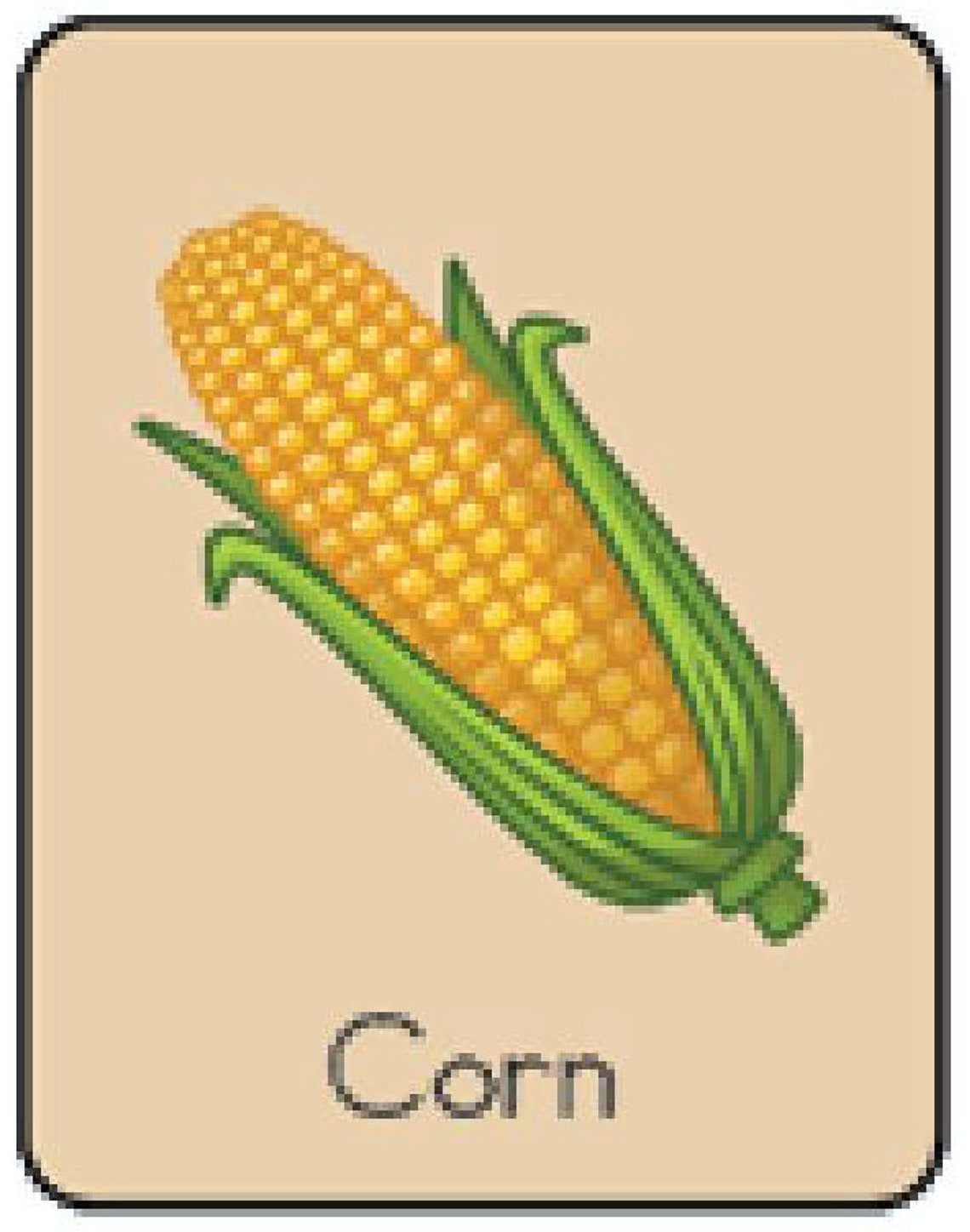 100 Fruits Vegetables Plants Trees and Flowers Flashcards, Montessori ...