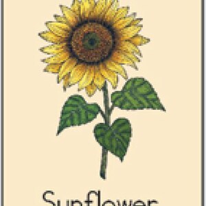 100 Fruits Vegetables Plants Trees and Flowers Flashcards, Montessori ...